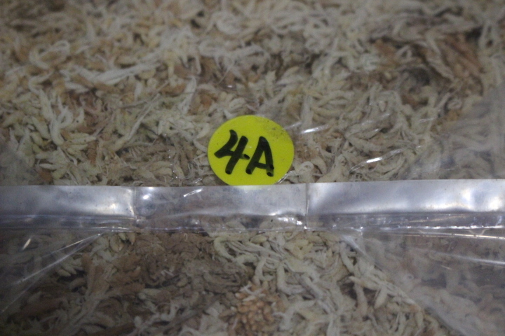 Yahoo!オークション - 水苔 ミズゴケ ニュージーランド産4A（AAAA）3...