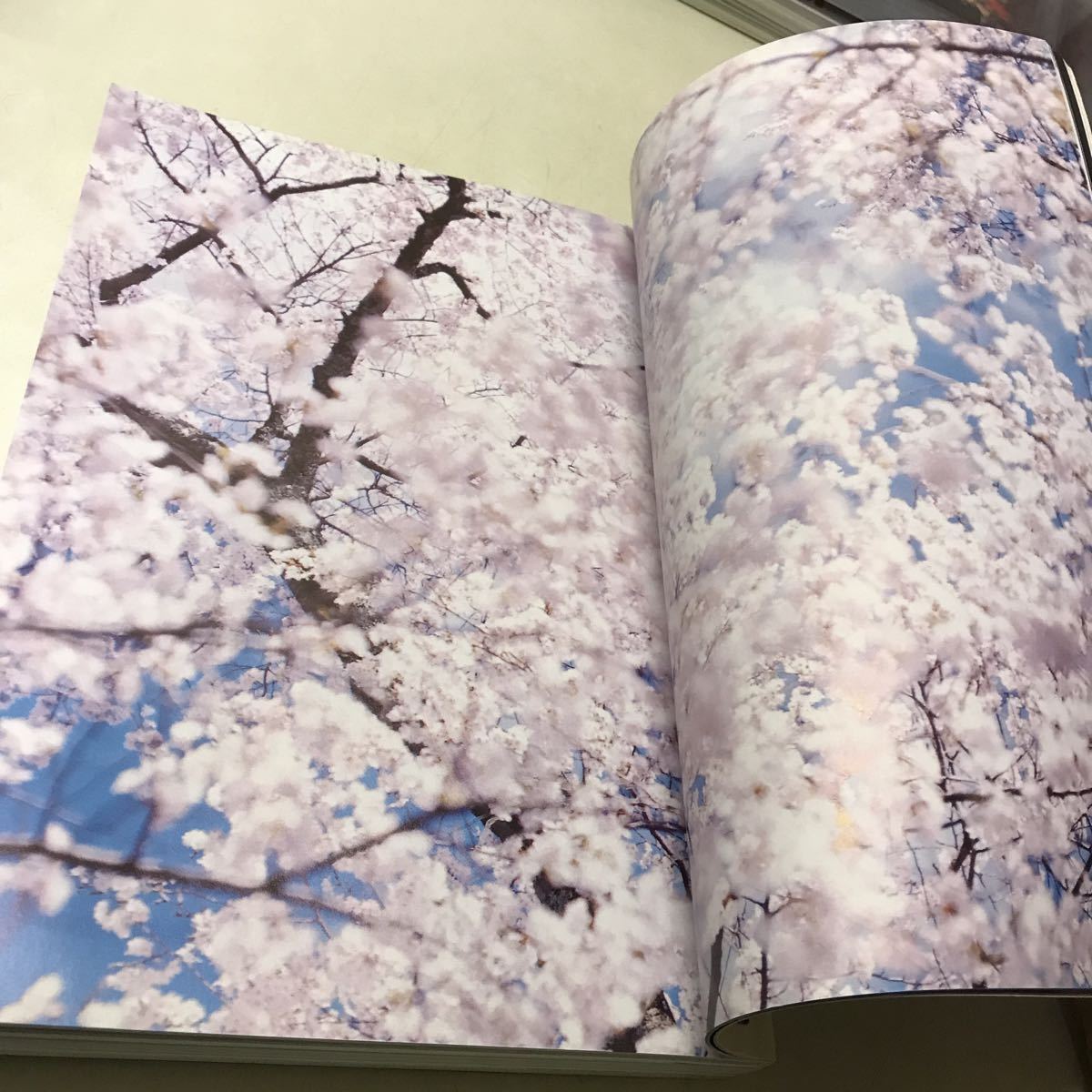 Yahoo!オークション - 230125 U05上 美術手帖 2003年発行不揃い10冊セ...