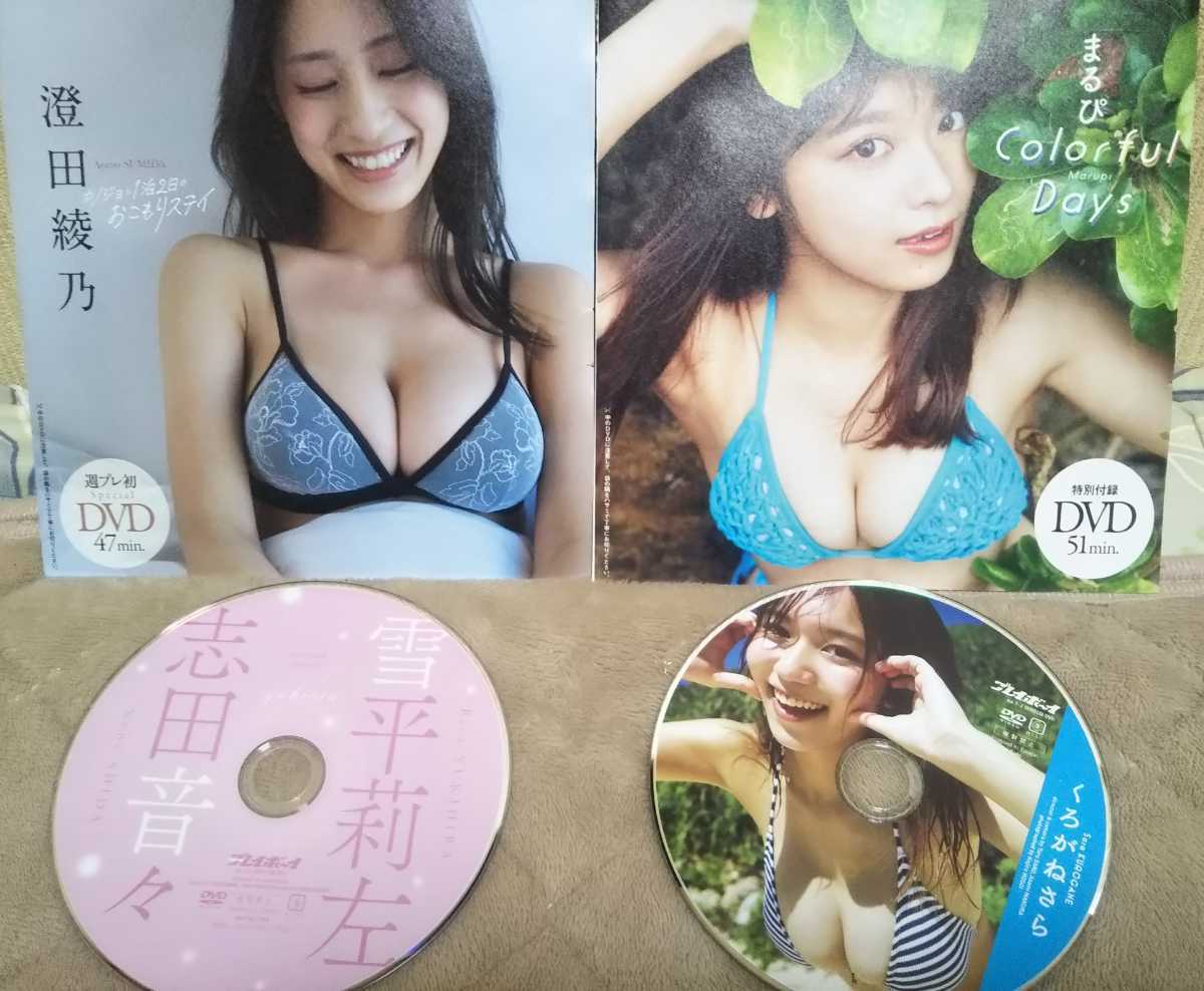 Yahoo!オークション - 雑誌付録DVD4作品/くろがねさら まるぴ 澄田綾乃...