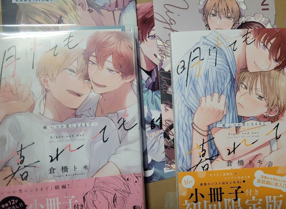 明けても暮れても 続いつか恋になるまで 2 初回限定版小冊子