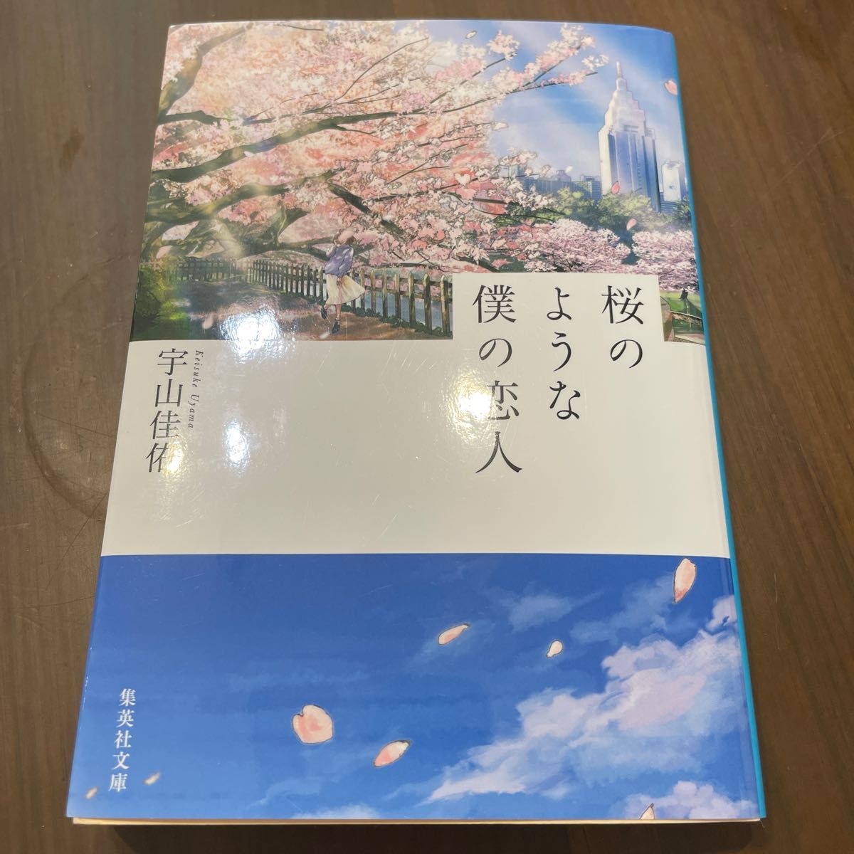 桜のような僕の恋人 (集英社文庫 う23-2) 宇山佳佑/著|paypayフリマ