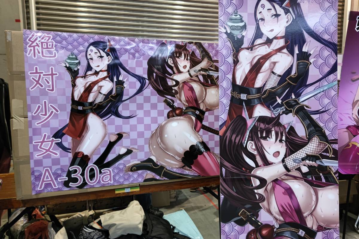 C101冬コミ 絶対少女 Raita 魔法少女22 0 折本 佐々木琴音バスタオル 魔法少女 Fgo 中古 のヤフオク落札情報