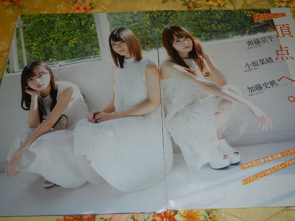 Yahoo!オークション - 12933 小坂菜緒 加藤史帆 齋藤京子 10p