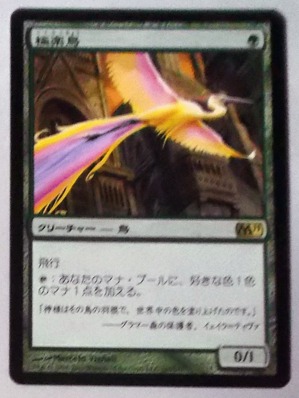 Yahoo!オークション - MTG/日本語/極楽鳥/基本2011/レア
