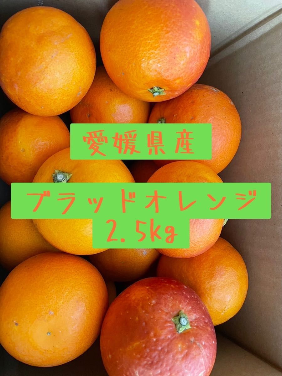 愛媛県明浜町産ブラッドオレンジ【2 5kg】｜PayPayフリマ