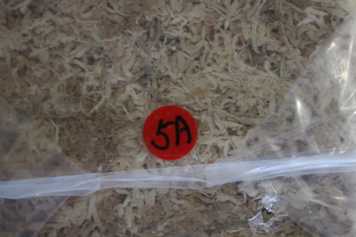 Yahoo!オークション - 水苔 ミズゴケ ニュージーランド産5A（AAAAA）...