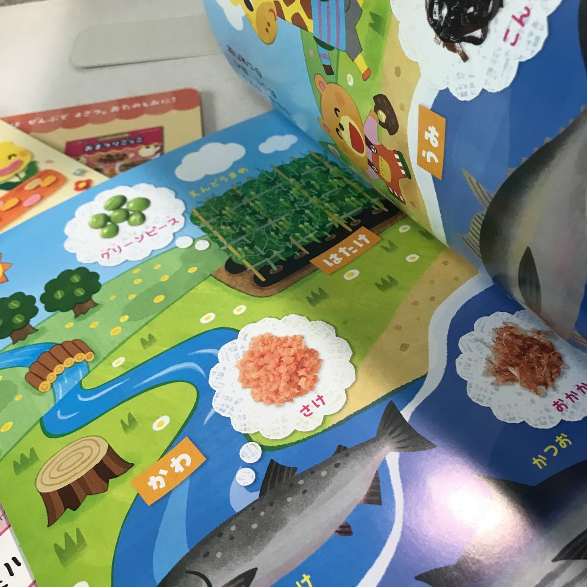 Yahoo!オークション - 230204 V06 ひかりのくに/エースひかりのくに 32...