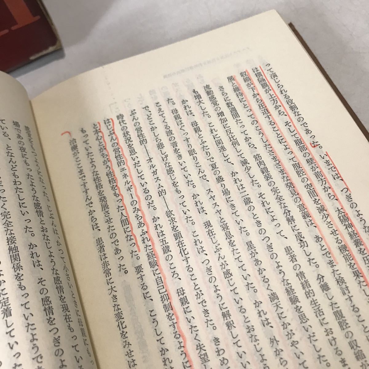 230204 S05上 オルガスムの機能 W.ライヒ/著 渡辺武達/訳 1973年11月発行 太平出版社 フロイト/ペールギュント/法則(心理学)｜売買されたオークション情報、yahooの商品 ...
