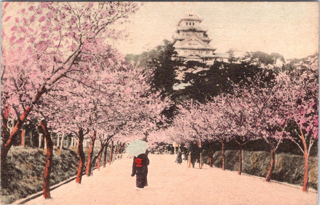 Yahoo!オークション - 2673 戦前 絵葉書 神戸 姫路城 手彩色 (桜)