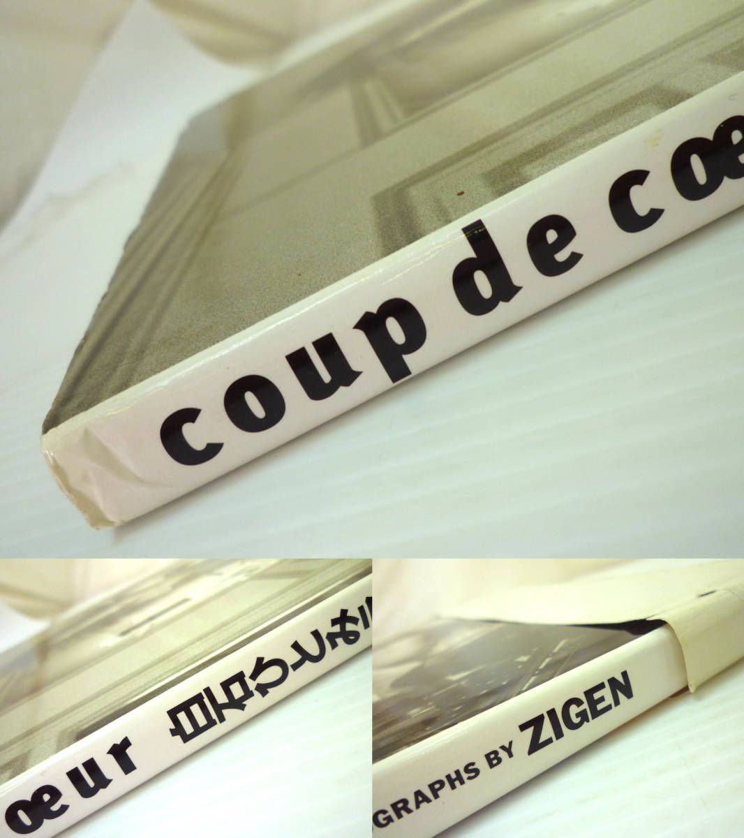 白石ひとみ 写真集 coup de coeur クドゥクー ラストヌード エロス 芸術 1994年 撮影/ZIGEN パパラブックス 大型本 帯付 ファン(さ行)｜売買されたオークション情報 ...