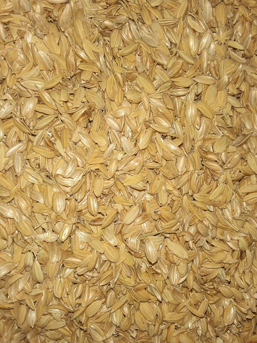 Yahoo!オークション - 引取限定 もみがら6kg 茨城