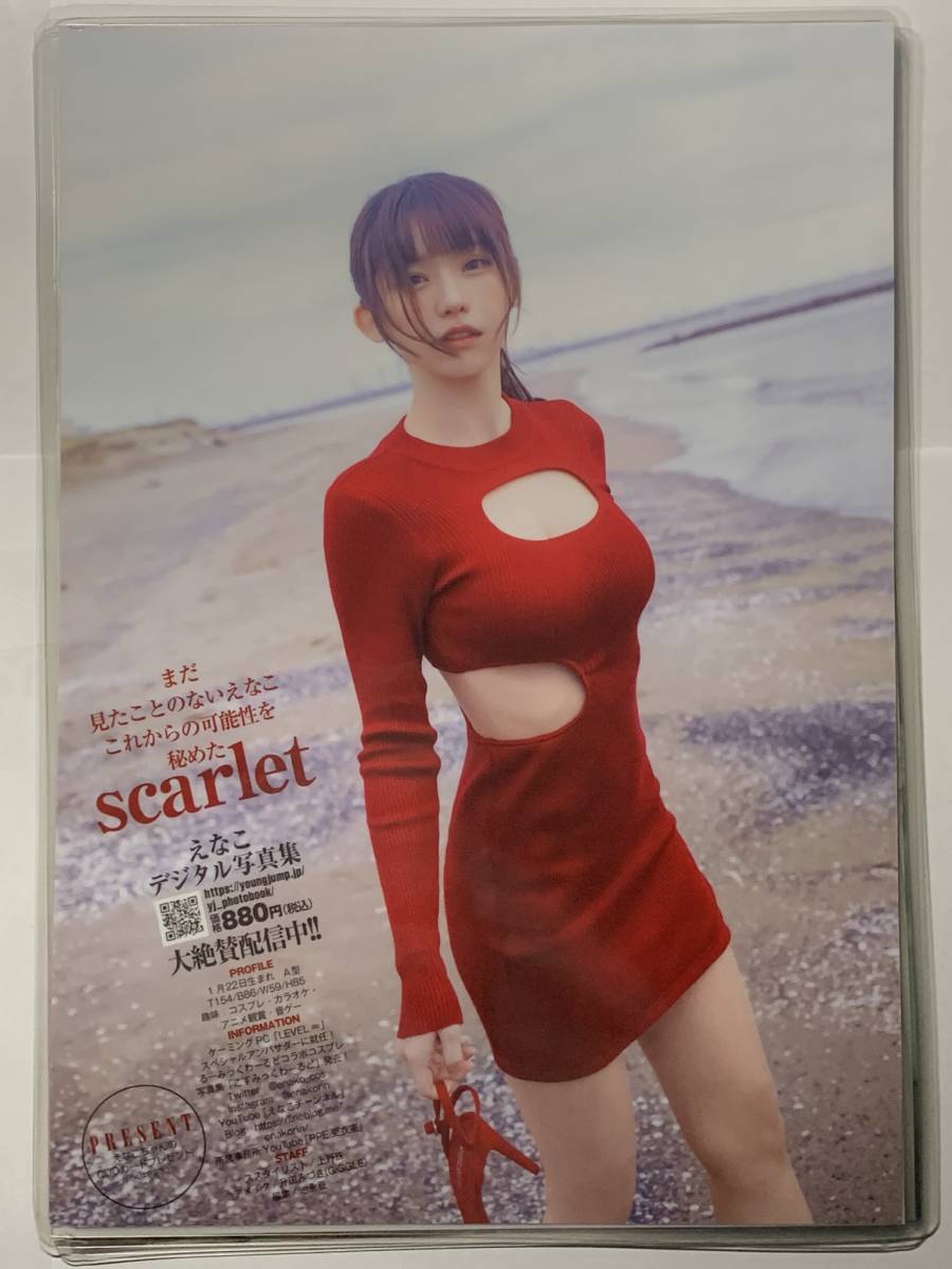 厚手ラミネート加工 えなこ 水着 雑誌切り抜き 8ページ 週刊ヤングジャンプ グラビア Q29 中古 のヤフオク落札情報