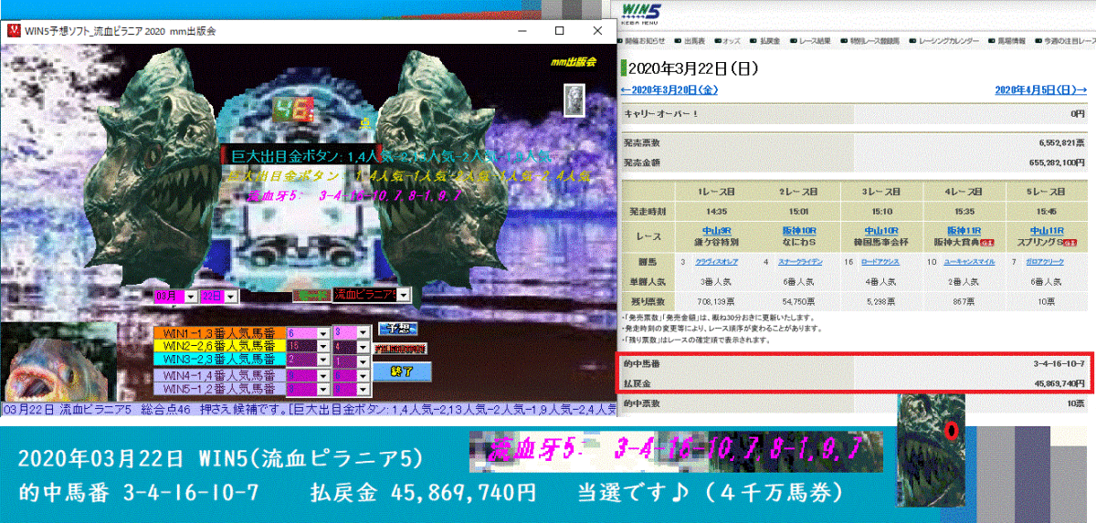 Yahoo!オークション - [WIN5予想ソフト_流血ピラニア2020] をご案内申...