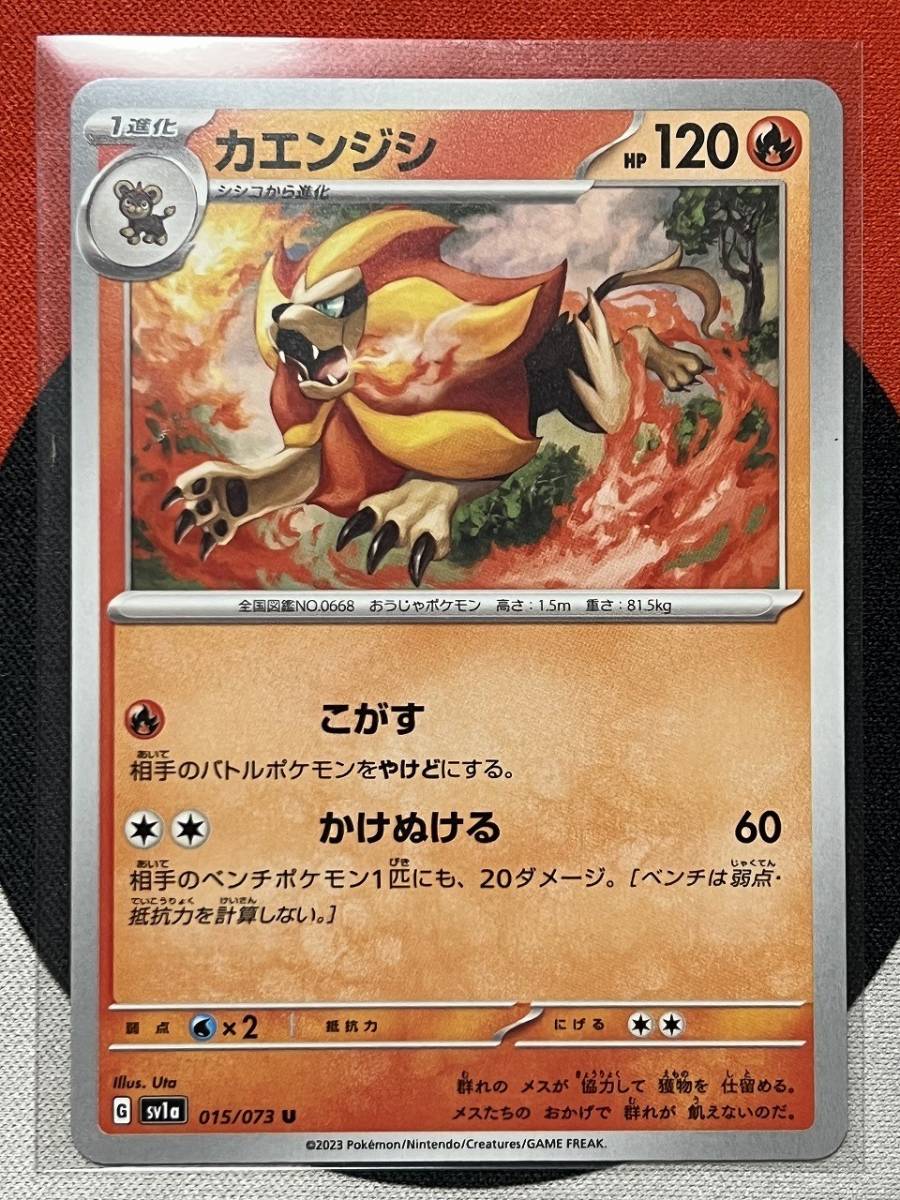 Yahoo!オークション - 【送料85円～】 カエンジシ U sv1a トリプレット...