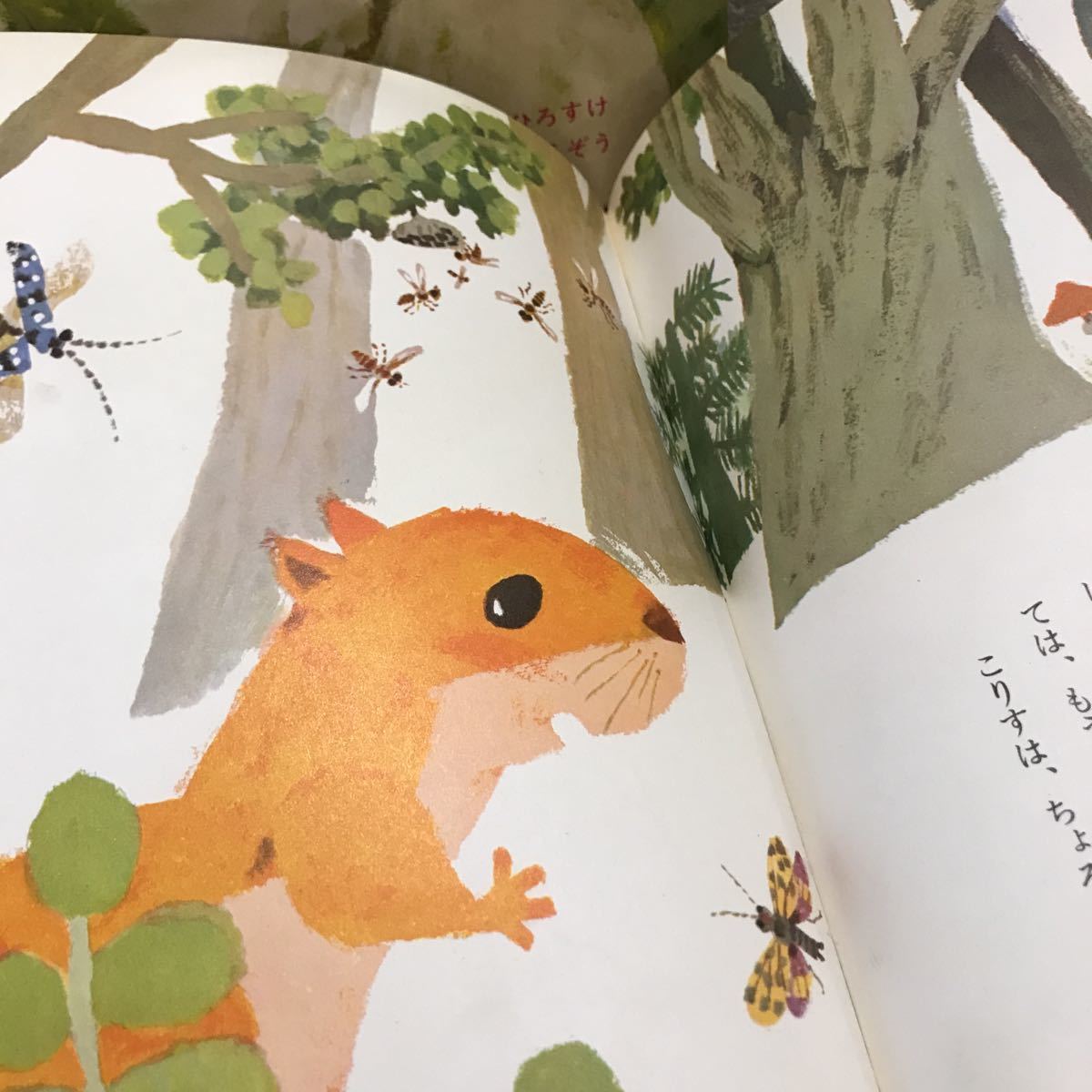 Yahoo!オークション - N06 ひろすけ絵本3 こりすのおかあさん はまだひ...