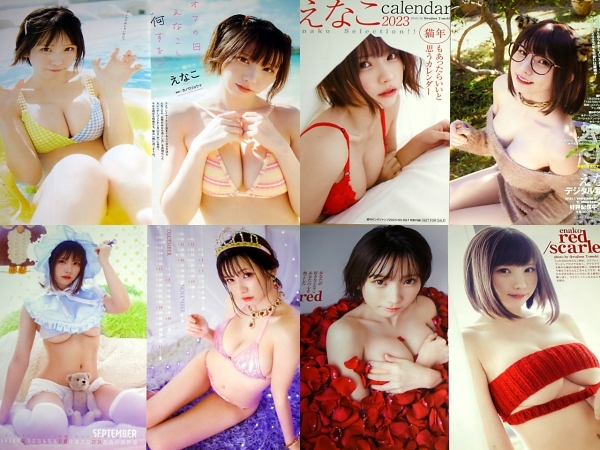 Yahoo!オークション - えなこ 切り抜き49P＋DVD & クリアスタンド【未...