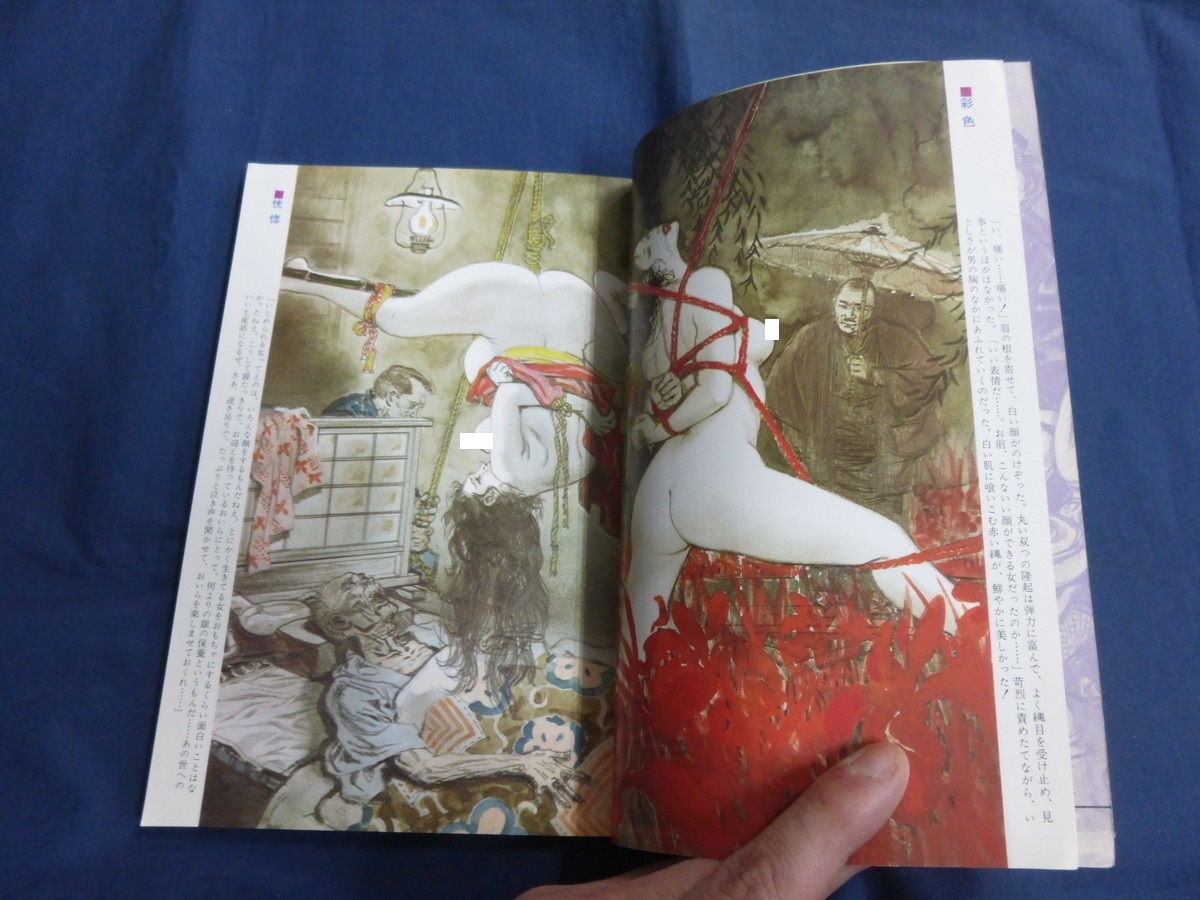 前田寿安の世界 情炎 妖美sm秘悦画集 劇画秘悦号 特別増刊 昭和51年 1976年 Sm 緊縛 耽美 イラスト 画集 画集 |売買された