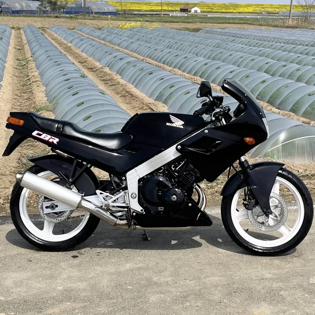 CBR250F 実動 書類付き MC14 絶版 好調 美車 ホンダ 検 CBR VTR SRV CB RS FZR GSX FX XS FTR GB CBX FS SW ZXR FW TR ...