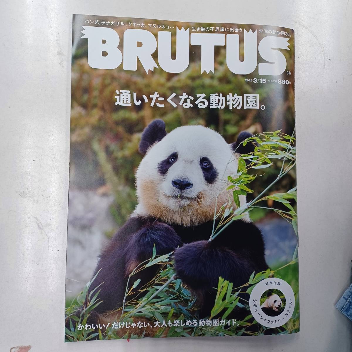 Yahoo!オークション - BRUTUS 通いたくなる動物園