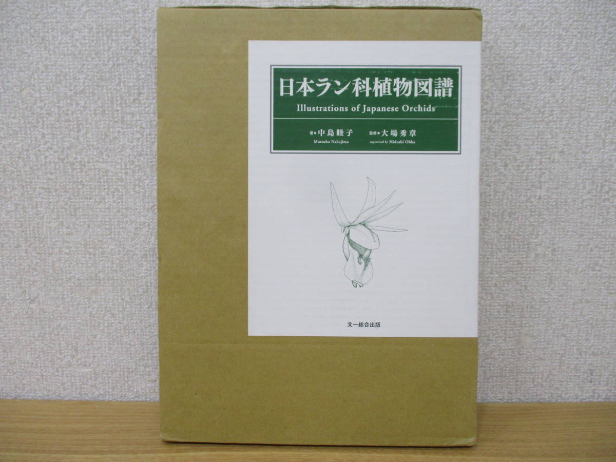E1 3 日本ラン科植物図譜 初版 中島睦子 大場秀章 文一総合出版 2012年 函入り Illustrations Of Japanese