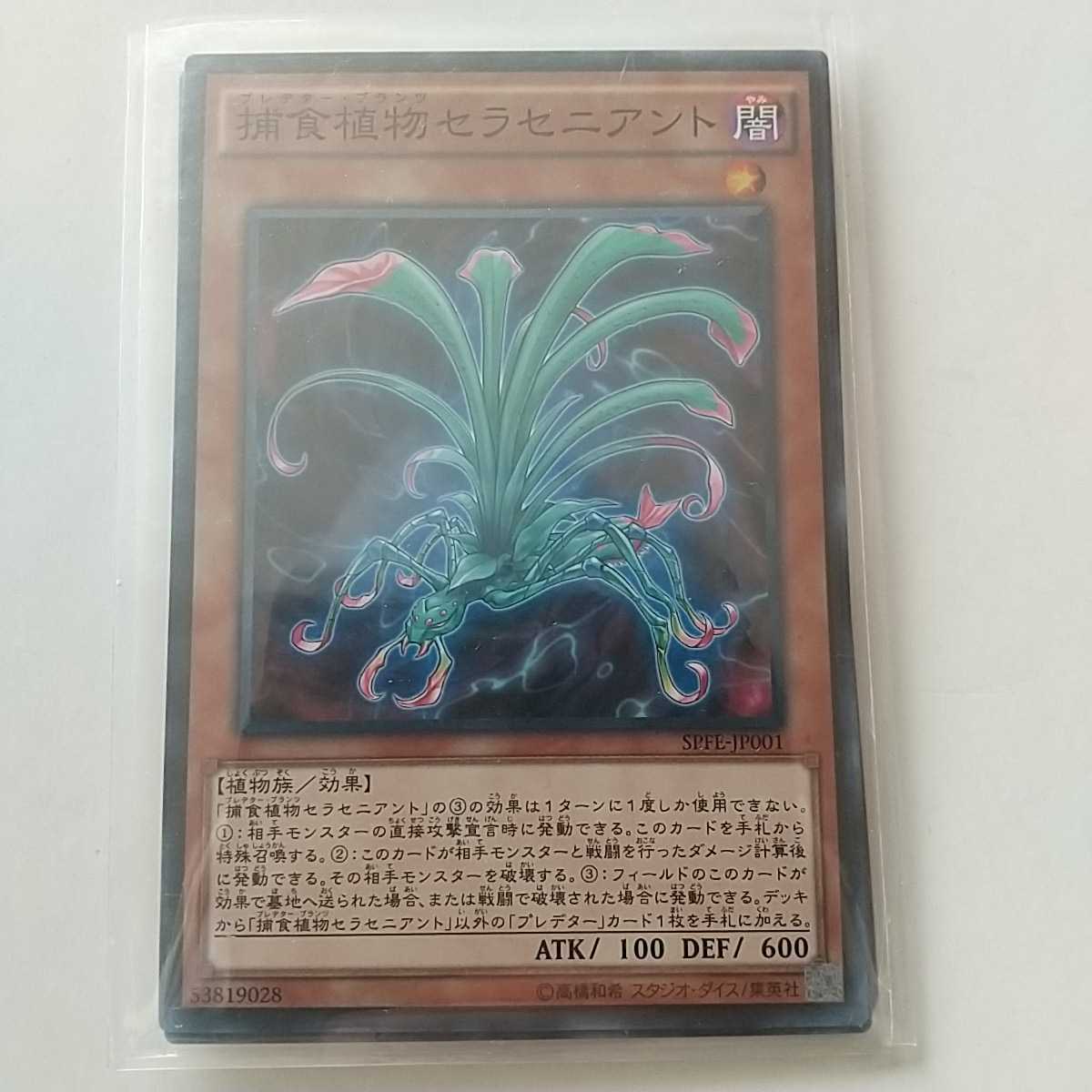 Yahoo!オークション - 【捕食植物セラセニアント】【SPFE-JP001】【ノ...