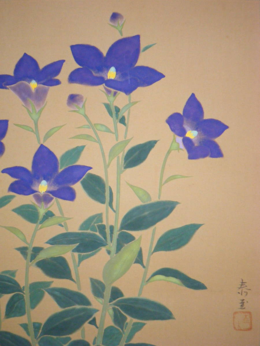 Yahoo!オークション - 掛軸 桔梗 逸品 共箱入 H115