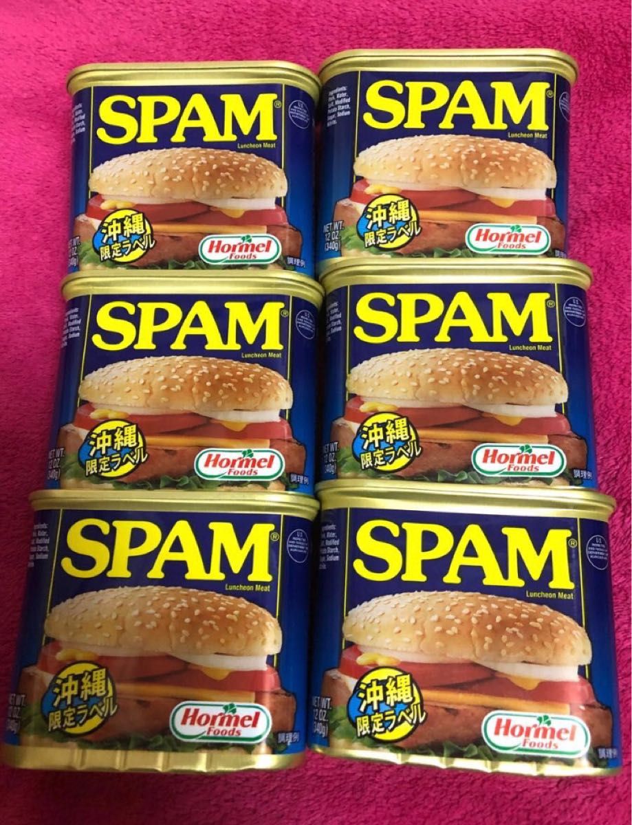 スパム レギュラー 340g 6缶 ポークランチョンミート｜Yahoo!フリマ（旧PayPayフリマ）