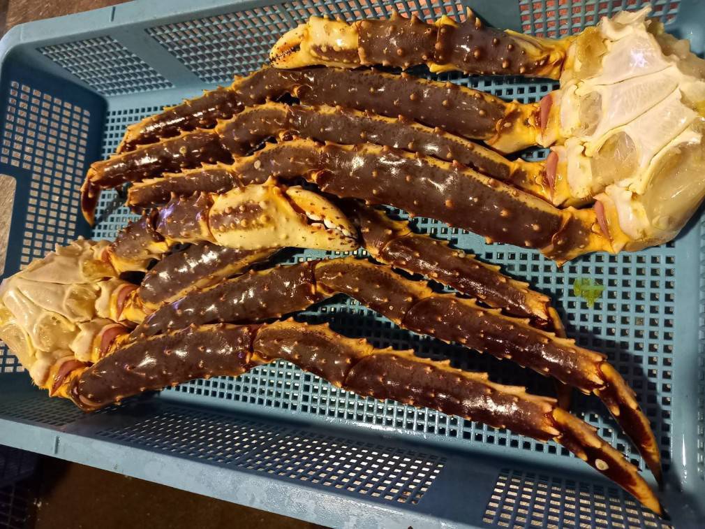 Yahoo!オークション - 6L～7Lサイズ【堅折れ】特選北海道産【稚内 宗谷...