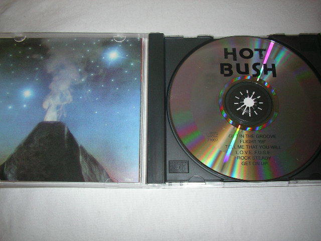 Yahoo!オークション - HOT BUSH / ホット・ブッシュ 1980