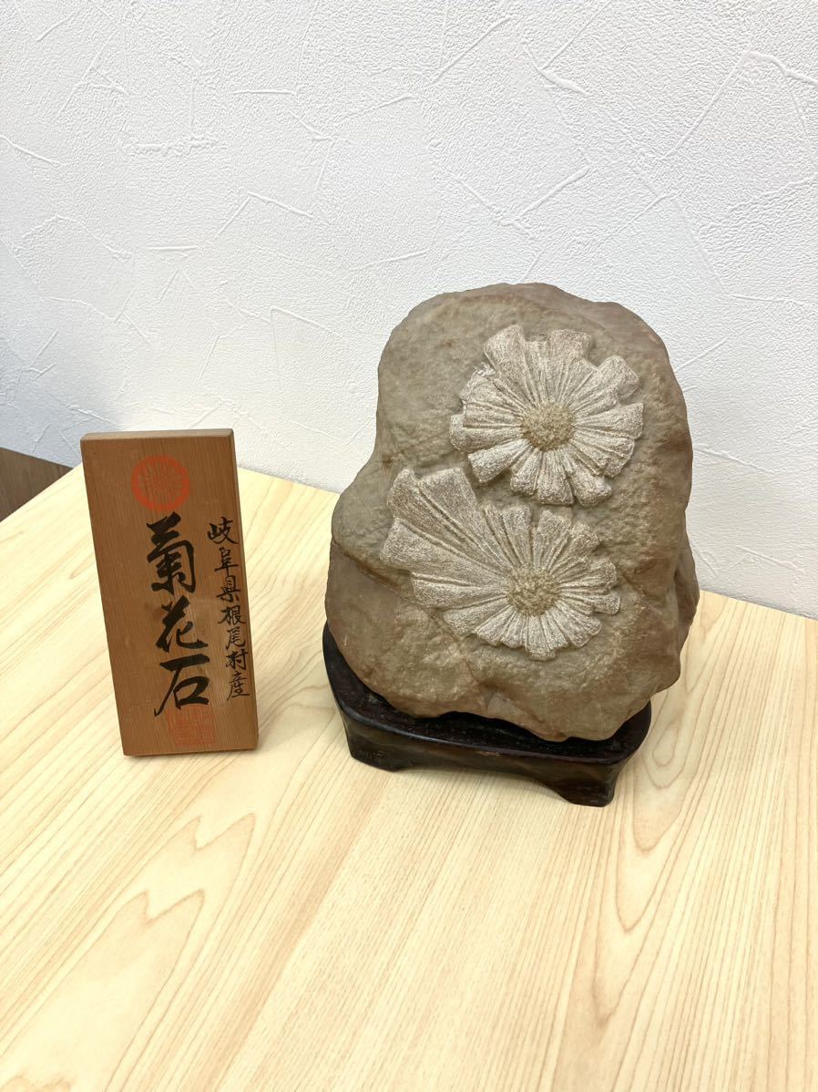 2193 菊花石 岐阜県根尾村産 重さ約5㎏ 鑑賞石 天然石 水石 盆石 自然石 美石 観賞石(原石)｜売買されたオークション情報、yahooの商品情報をアーカイブ公開 - オークファン ...