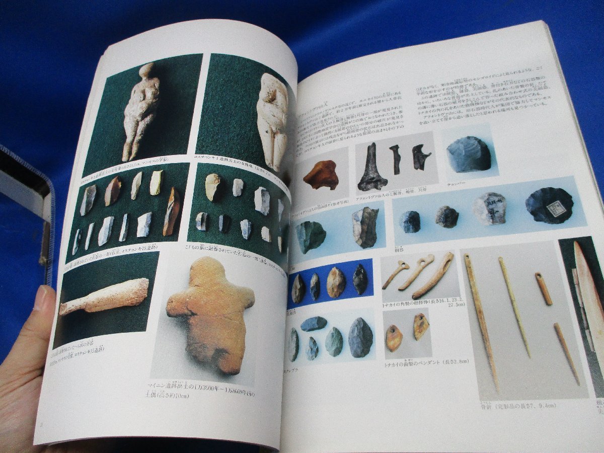図録 日本人の起源展 日本人はどこから来たか 国立科学博物館 1988年 化石人類と旧石器文化 縄文時代とその後の日本人 81911 文化