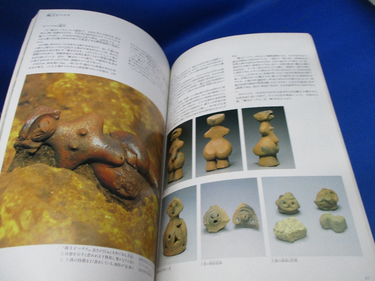 図録 日本人の起源展 日本人はどこから来たか 国立科学博物館 1988年 化石人類と旧石器文化 縄文時代とその後の日本人 81911 文化