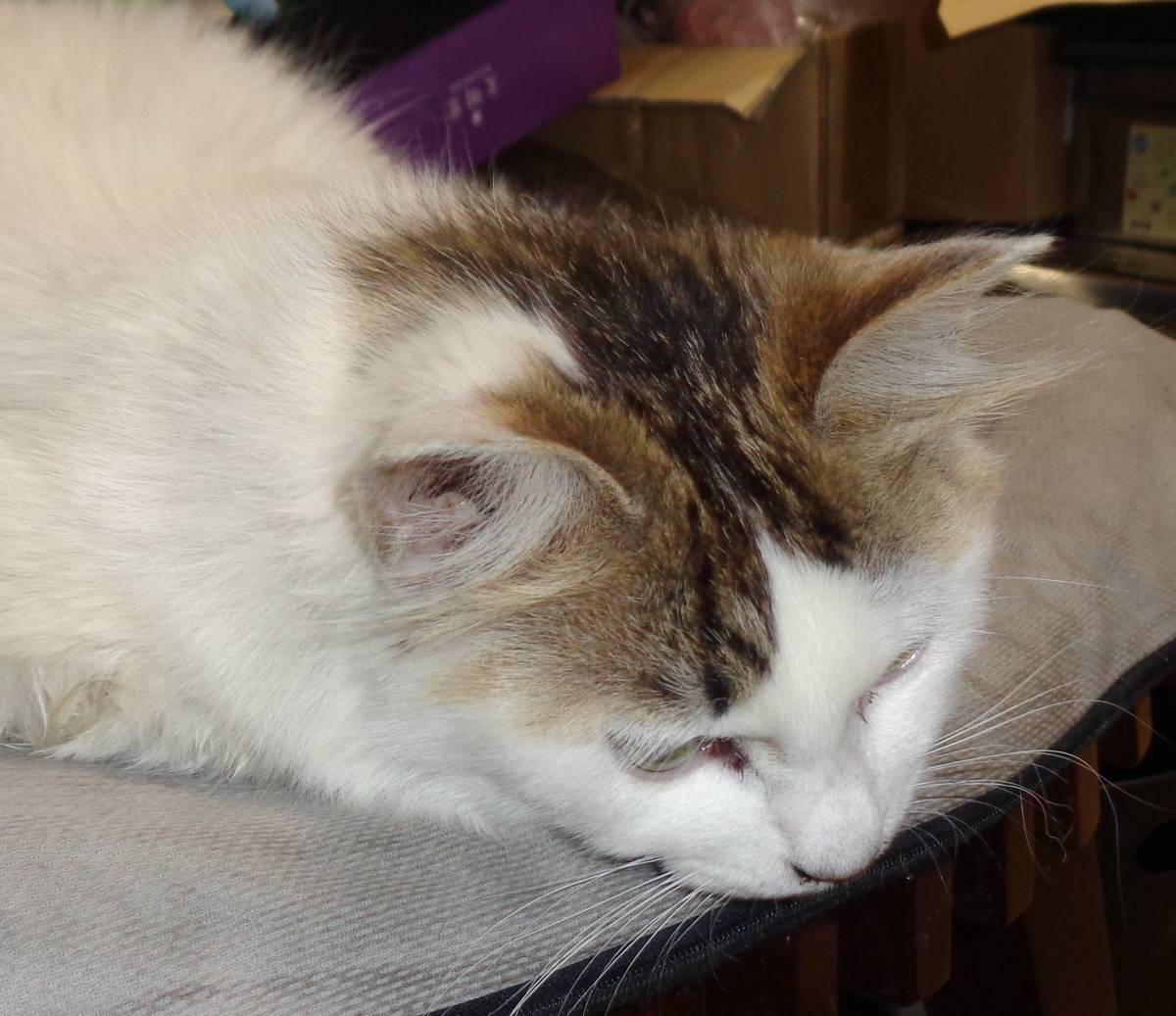 Yahoo!オークション - ダイヤ 0.027ct 14.5号 K18 pt900 大網てんとう...