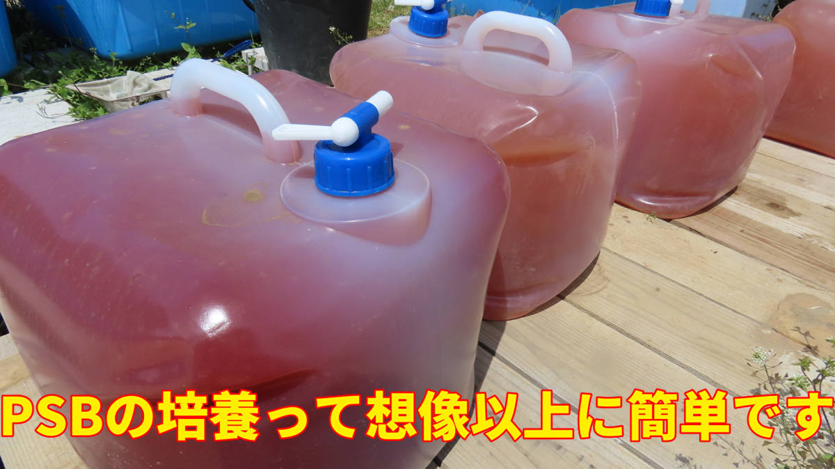 Yahoo!オークション - 送料無料│濃縮PSB光合成細菌2L＋エビオス錠10...