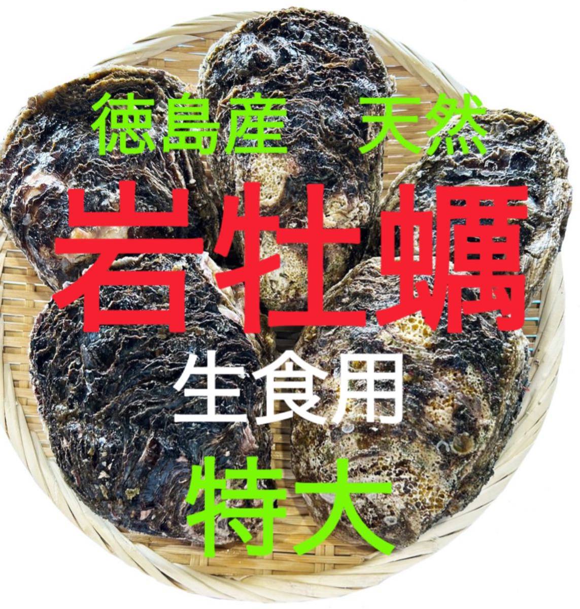 Yahoo!オークション - 岩牡蠣