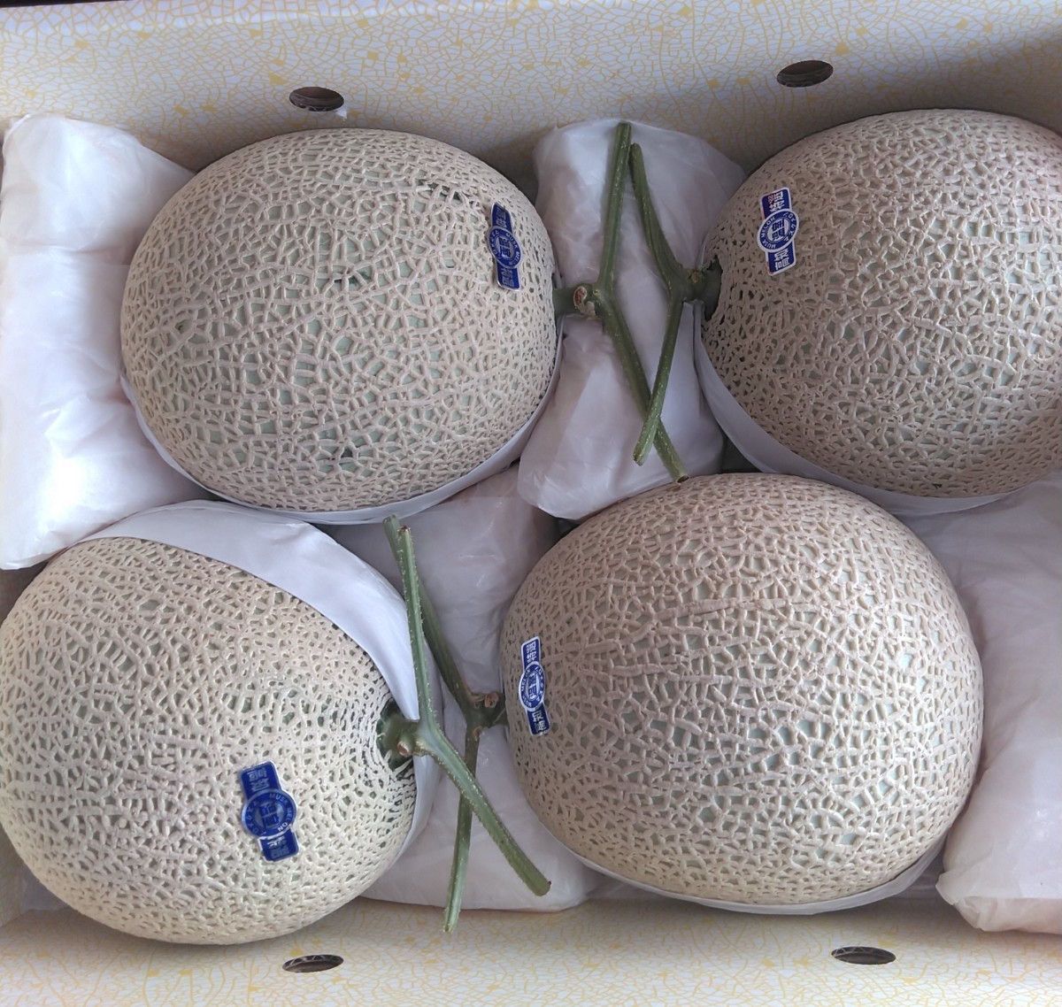 Yahoo!オークション - 約8 6kg 高知産 マスクメロン 4玉入 家庭用