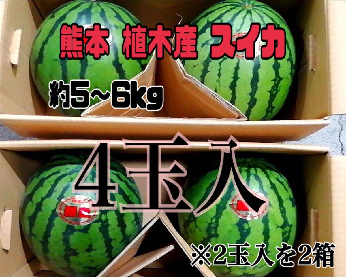 熊本植木産 スイカ 品種おまかせ1玉約5～6kg 家庭用(4玉入) 2玉入を2箱｜PayPayフリマ