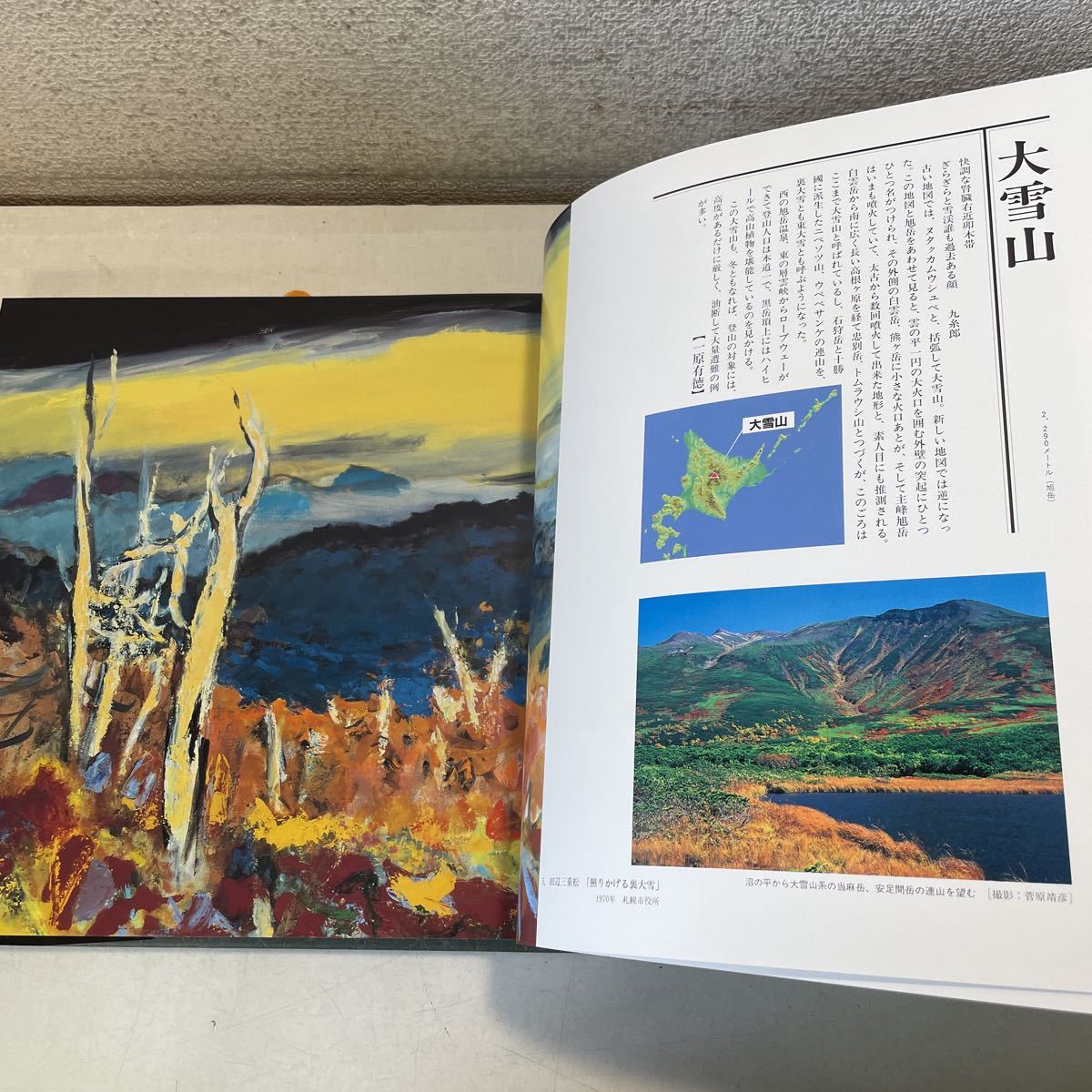 E04 画集 巨匠が描く 日本の名山 北海道編 鈴木進 郷土出版社 1999年 坂本直行 神田日勝 相原求一朗 片岡球子 230529(画集)｜売買されたオークション情報、yahooの商品情報 ...