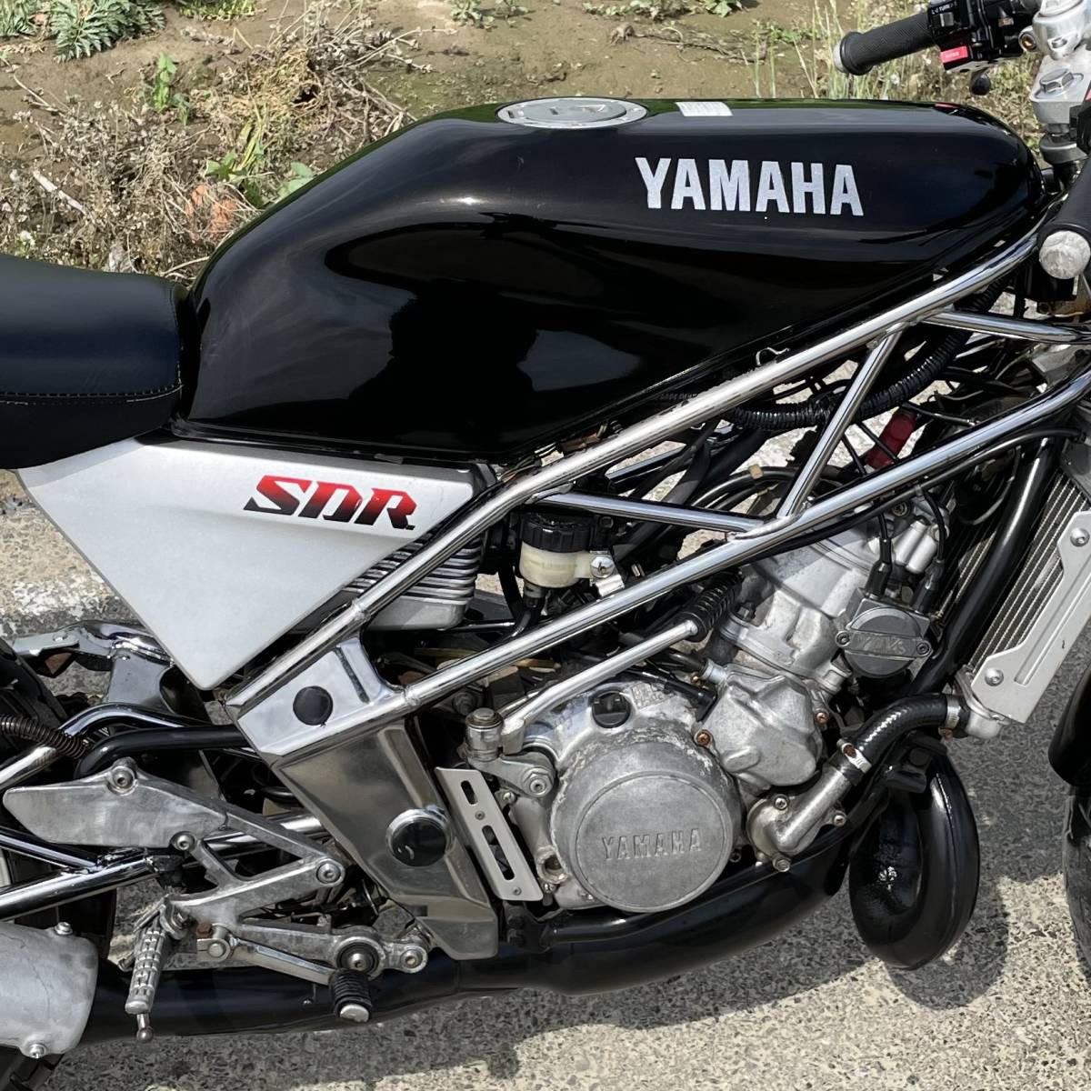SDR200 実動 書類付き 2TV 絶版 旧車 2スト ヤマハ 検 SDR TZR RZR RZ R1Z RD NS NSR KR KR-1 RGV CB GT RG TDR FZR ウルフ ...