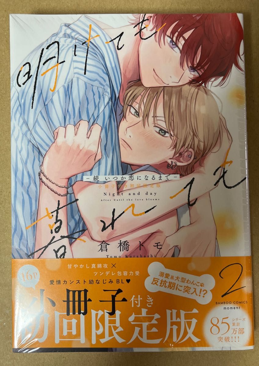 明けても暮れても 続いつか恋になるまで 2 初回限定版小冊子