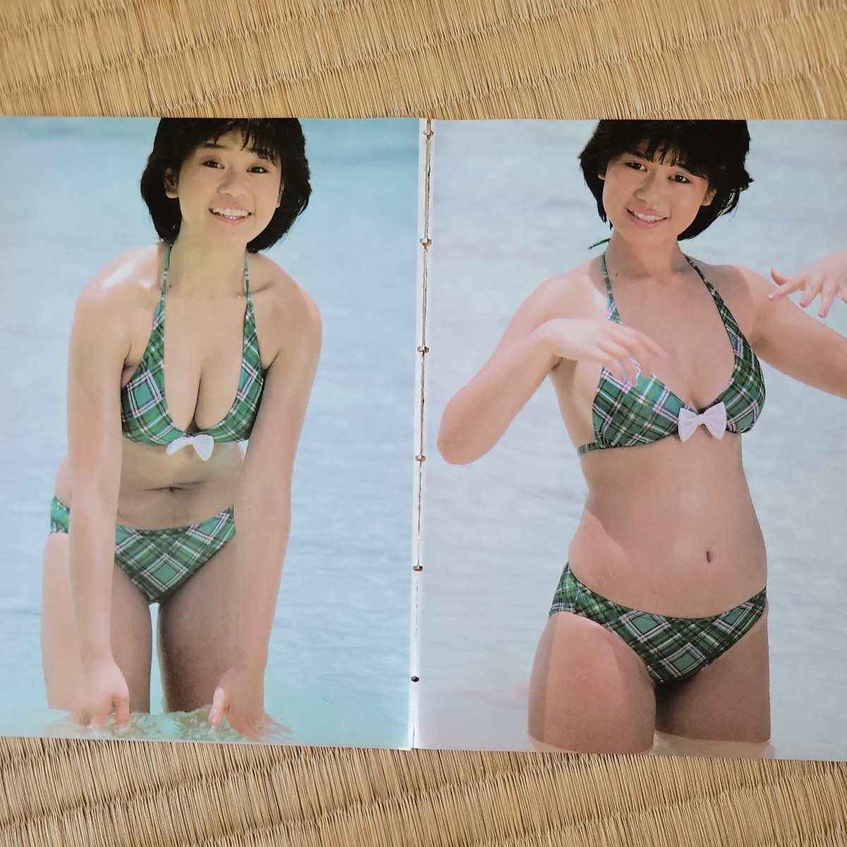 注文 神野美伽 水着ビキニ 文庫サイズ切り抜き6ページ 巨乳