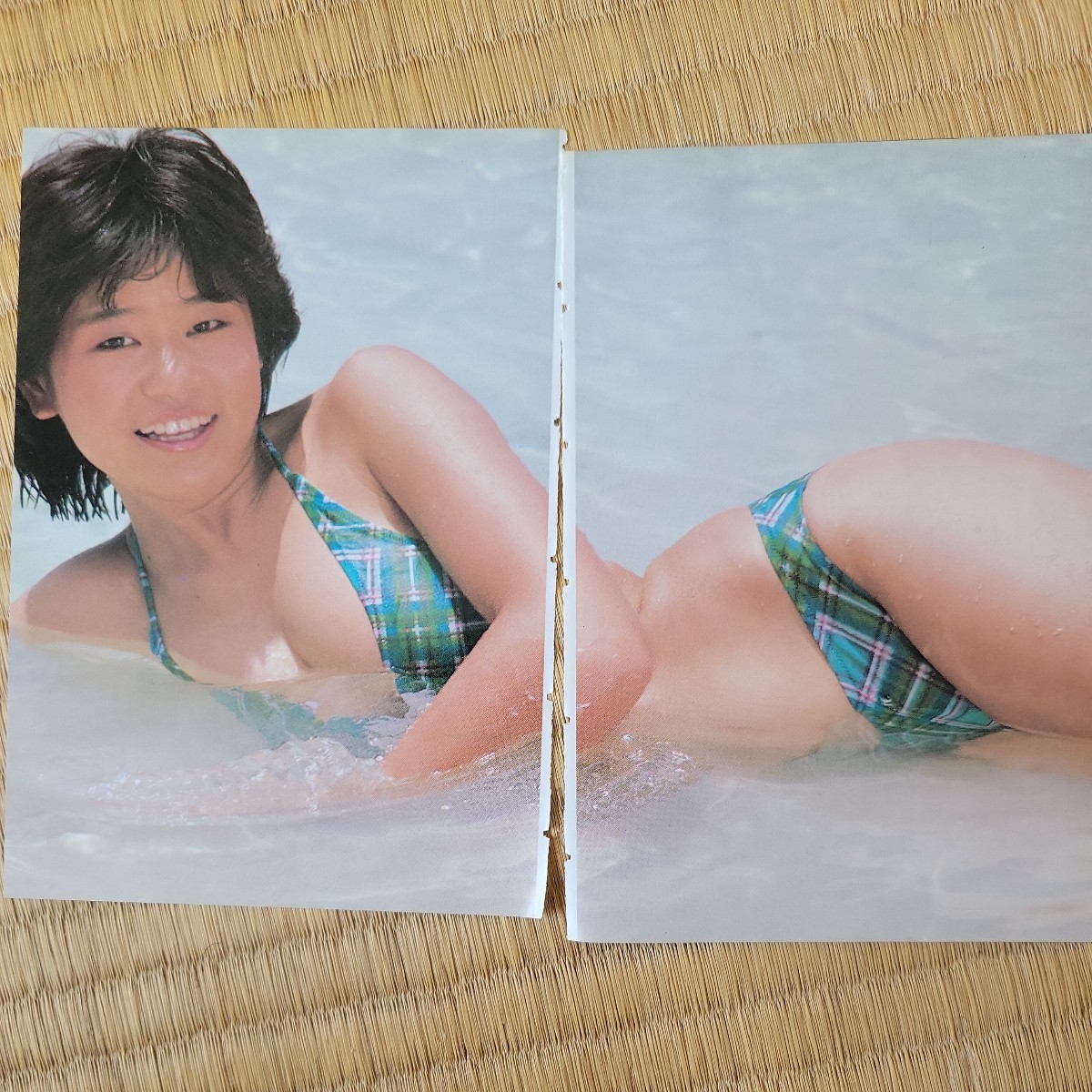 注文 神野美伽 水着ビキニ 文庫サイズ切り抜き6ページ 巨乳