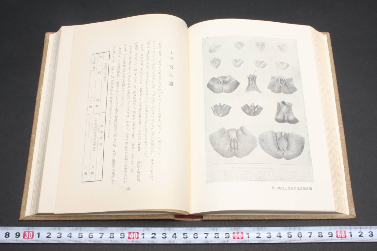 4404 非売品 限定 449 りんが よに 春画性風俗秘画 私家版 男女両性器の精神肉体的深奥分析 昭和30年 日本生活心理学会 著者 高橋鐵 付録有(和書)｜売買されたオークション情報 ...