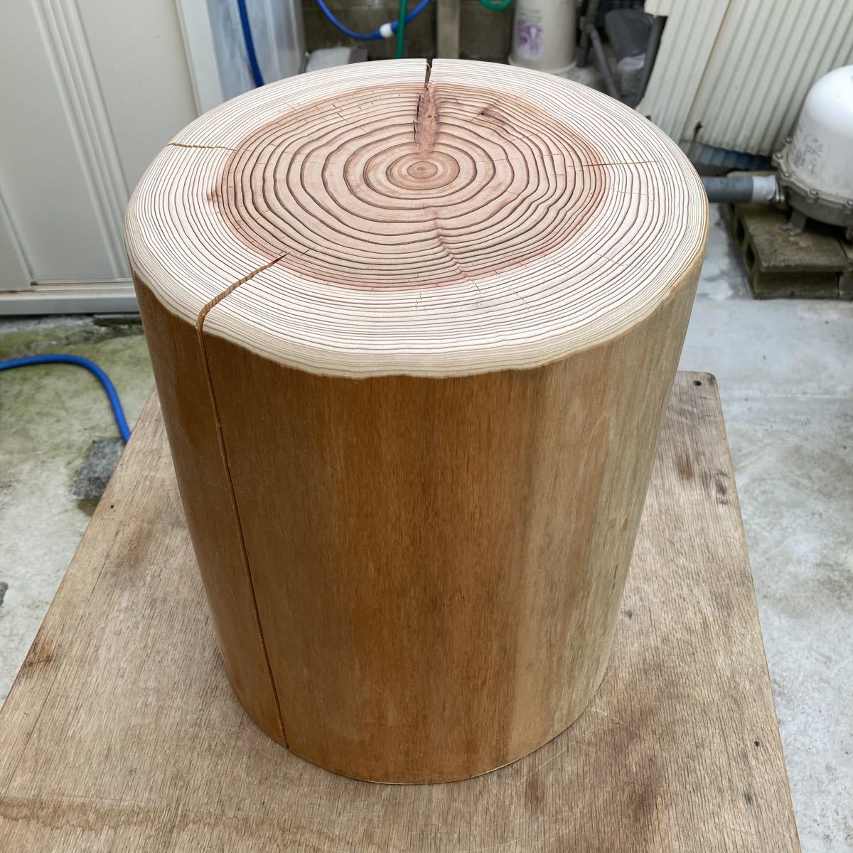 Yahoo!オークション - No077 猫の爪とぎ 丸太 樹齢約58年 大分県産 椅...