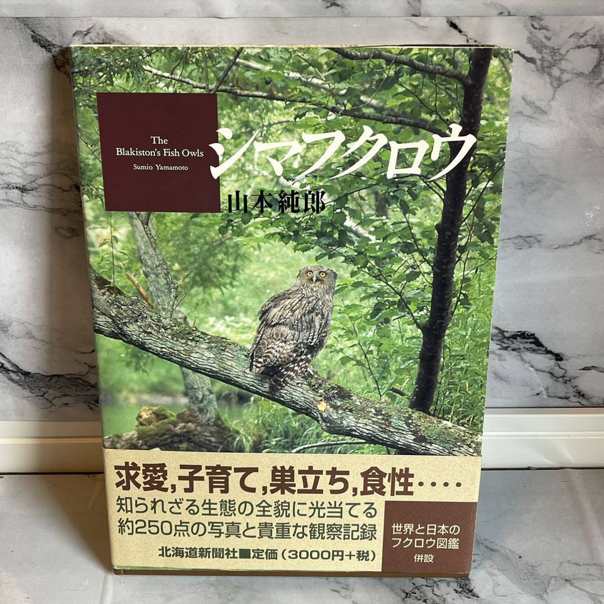 Yahoo!オークション - 帯付き シマフクロウ The Blakiston's Fish Owl...