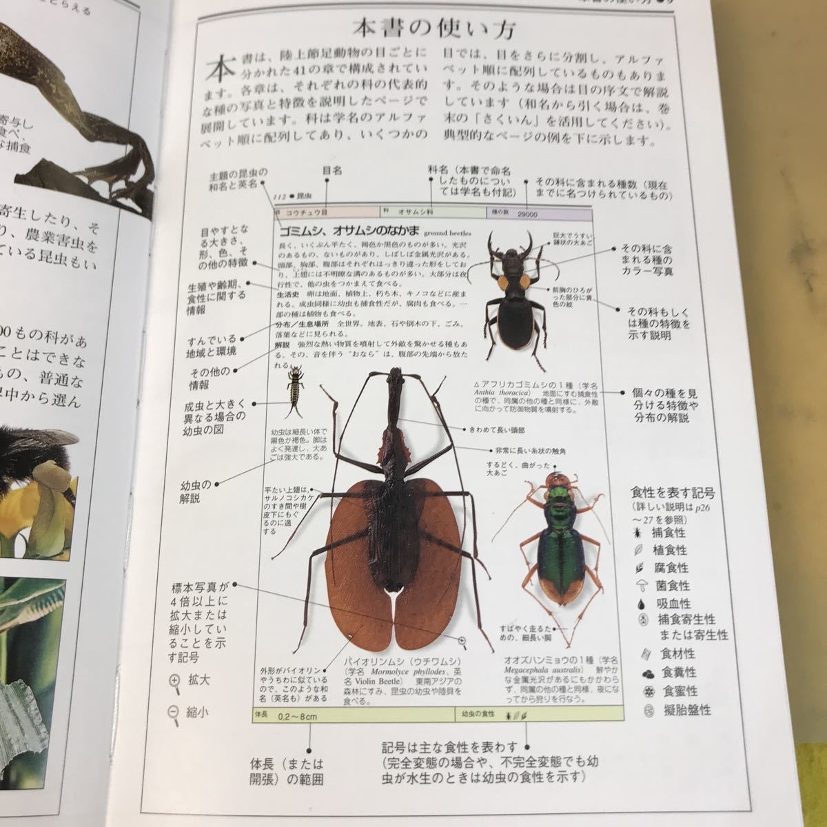 Yahoo!オークション - B62-139 地球自然ハンドブック 完璧版 昆虫の写...