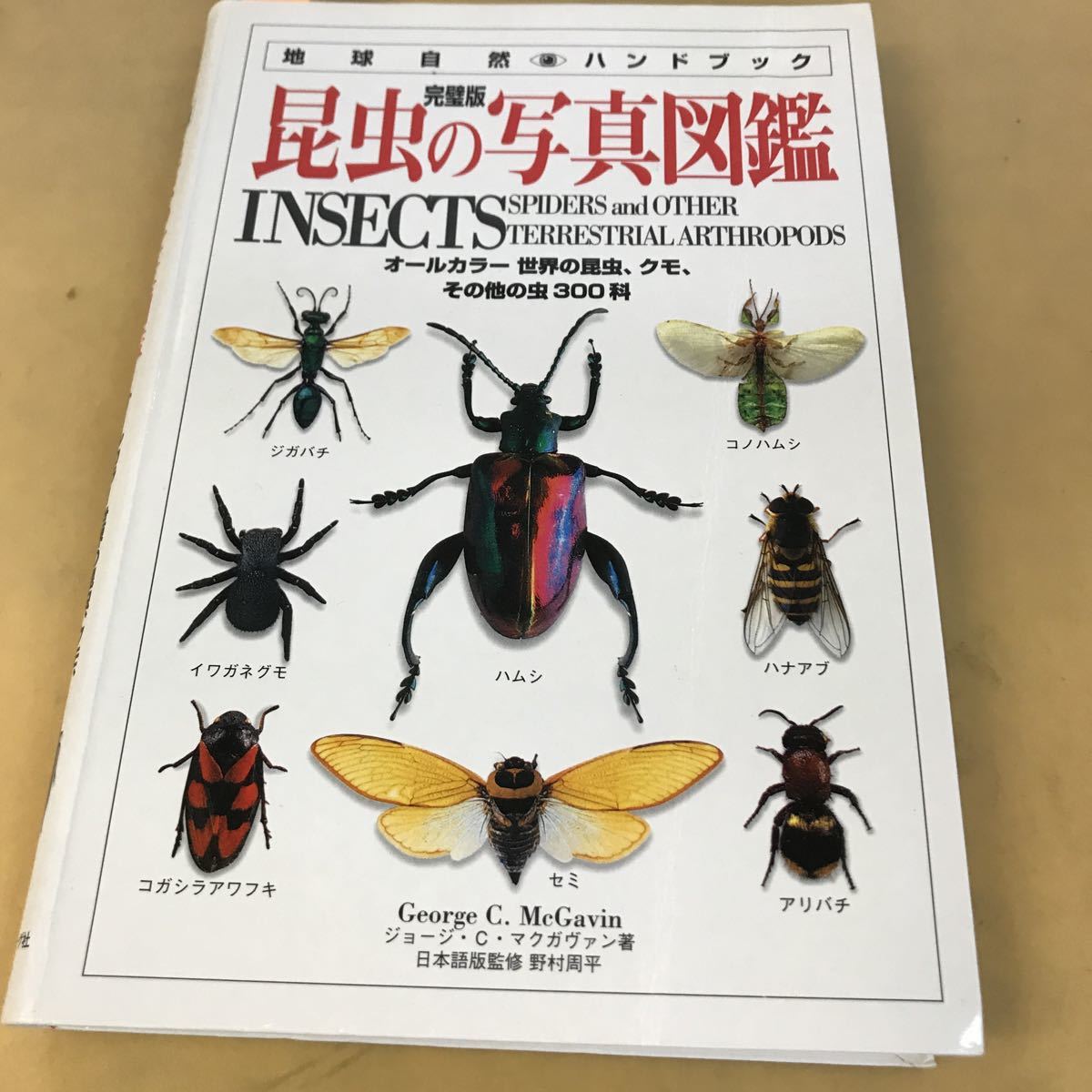 B62-139 地球自然ハンドブック 完璧版 昆虫の写真図鑑 世界の昆虫 クモ その他の虫300科 日本ヴォーグ社(昆虫)｜売買されたオークション情報、yahooの商品情報をアーカイブ公開 ...