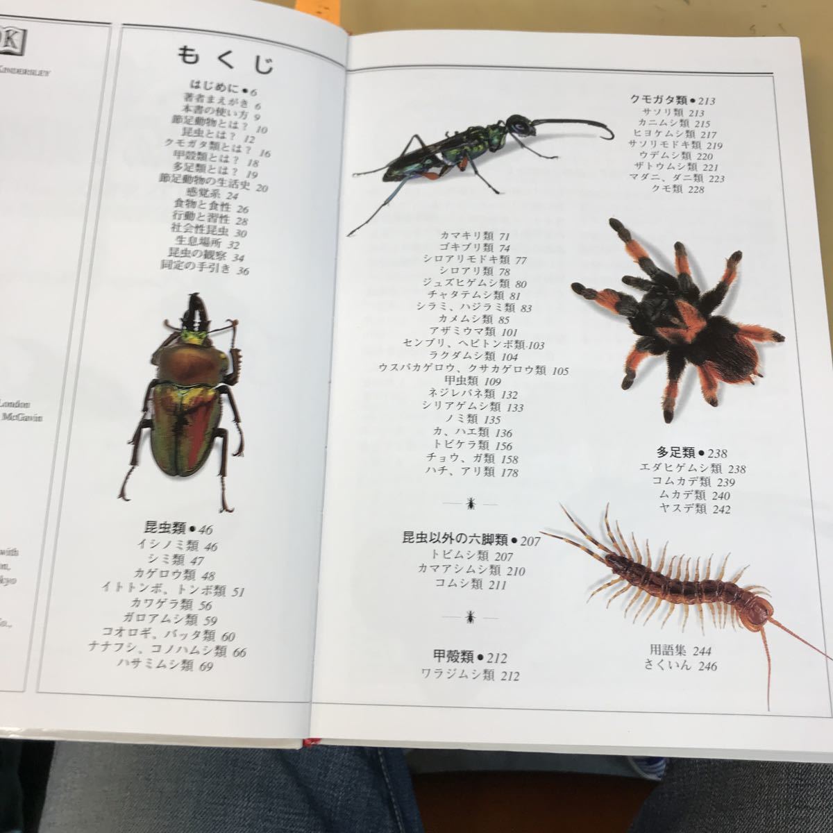 Yahoo!オークション - B62-139 地球自然ハンドブック 完璧版 昆虫の写...