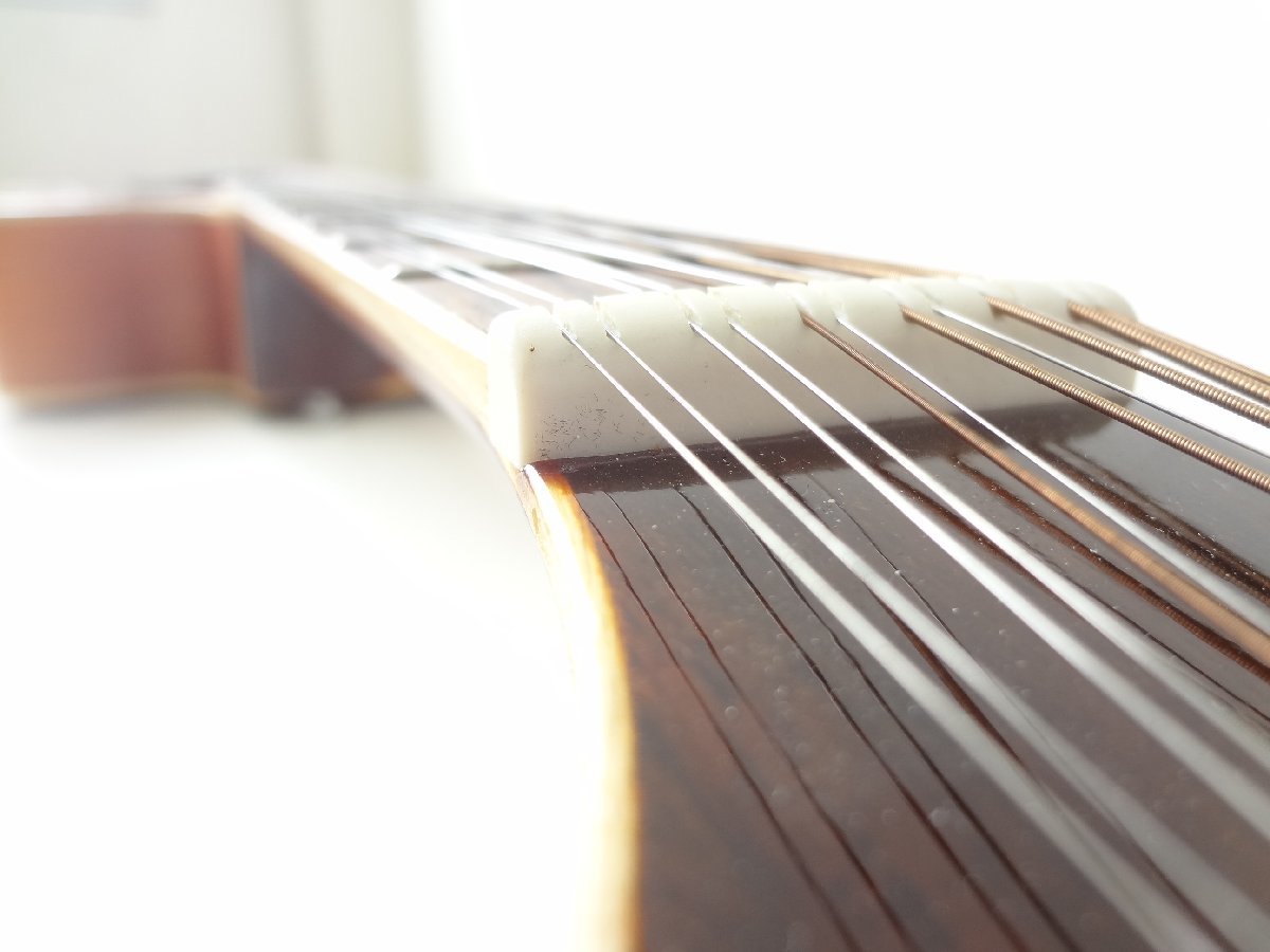 Yahoo!オークション - 12弦エレアコ アリア Aria FET-12/SPL LVS 現状...