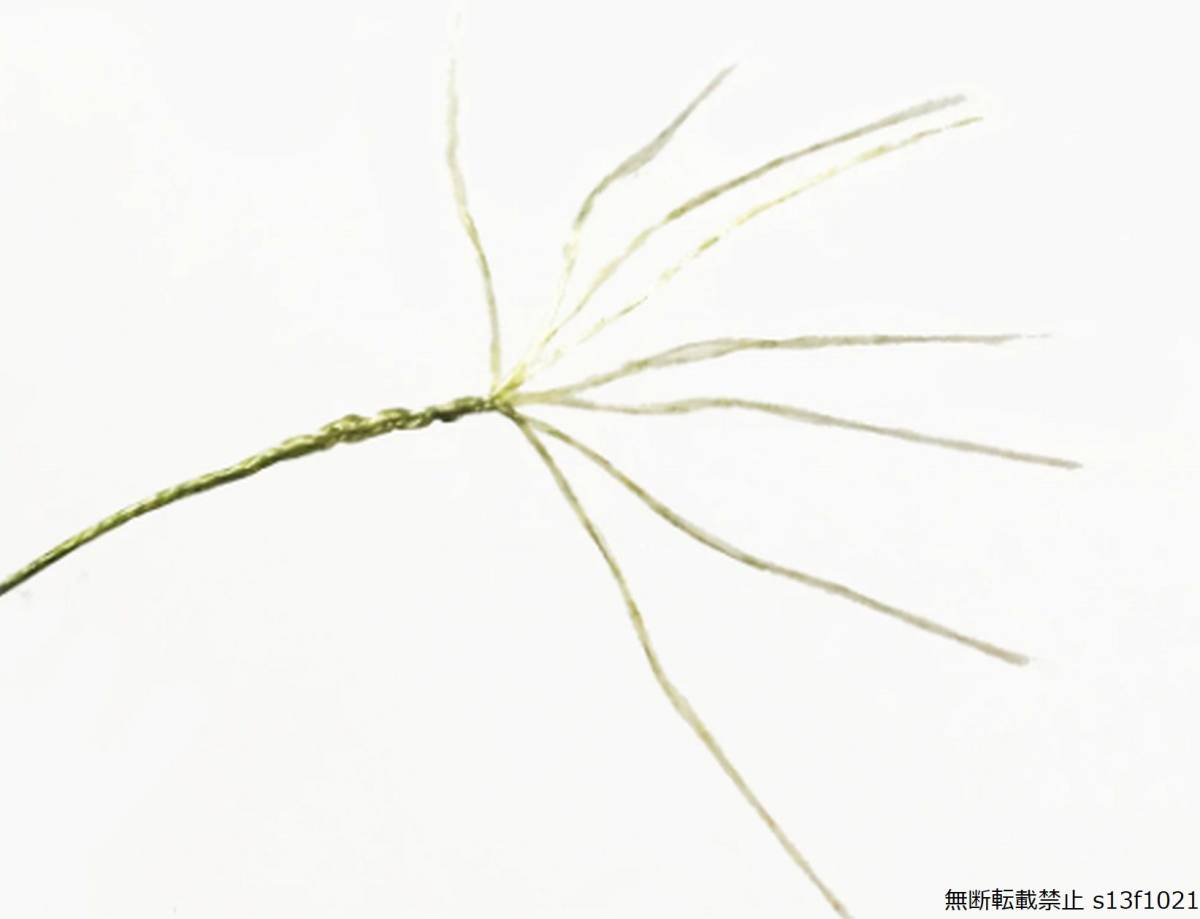 Yahoo!オークション - 8本編みPEライン 0.8号(15lb) 150m ブラック コ...